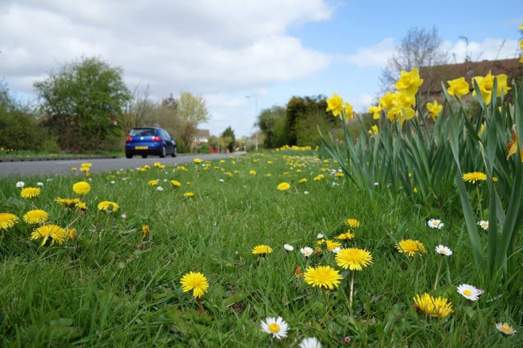 Introduction – Earley Town Council