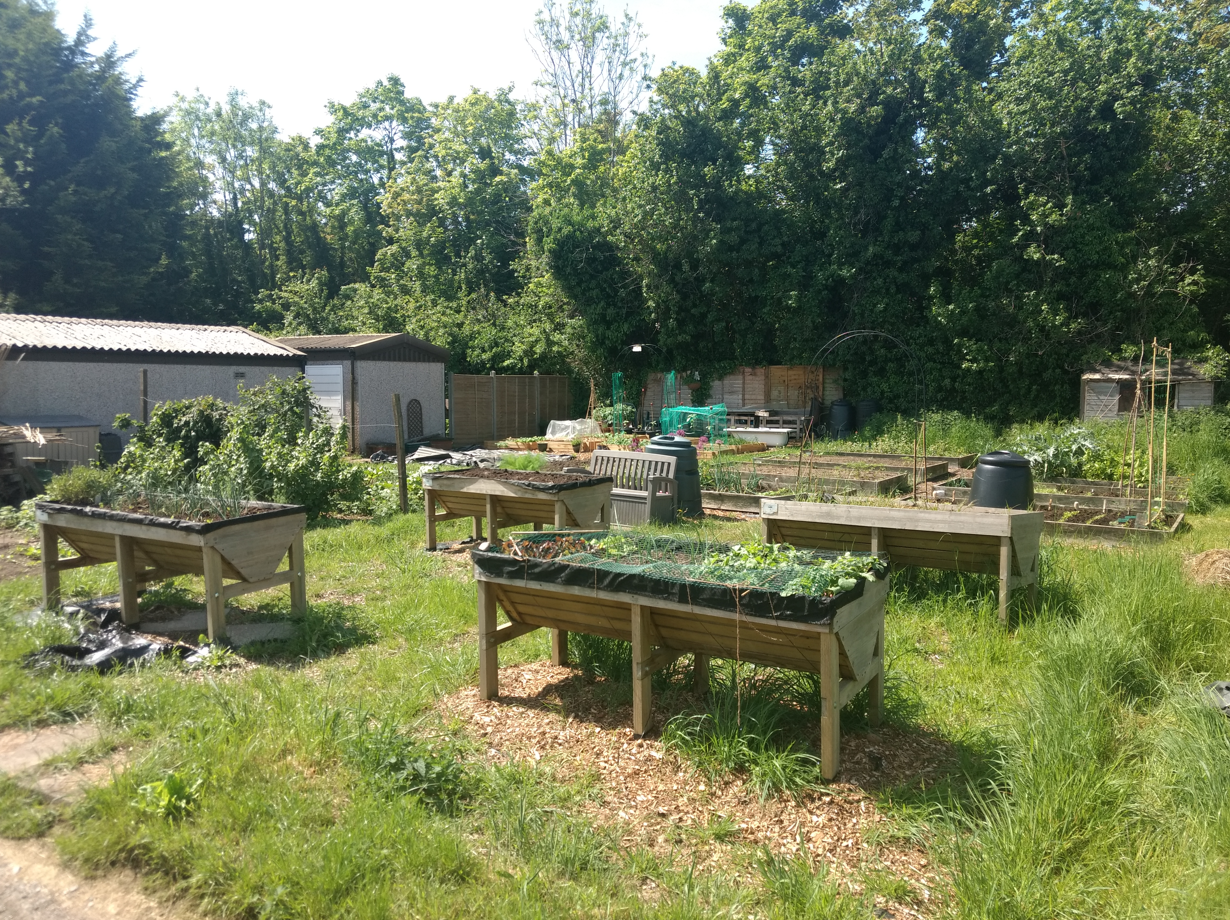 Allotments – Earley Town Council